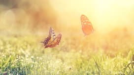 Das Leitbild zur Nachhaltigkeit der LBS NordWest